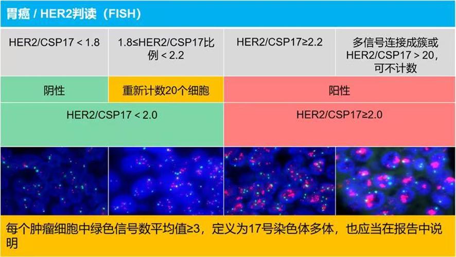 fish阴性和阳性有啥区别图标