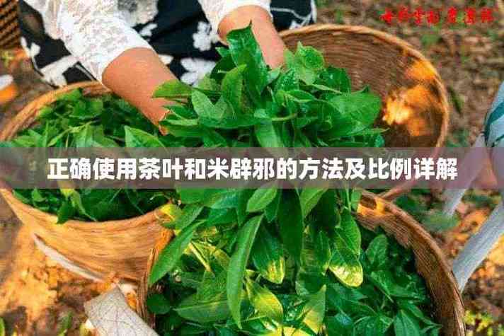 辟邪的茶叶米怎么放图标