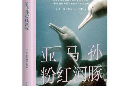 河豚小说图标
