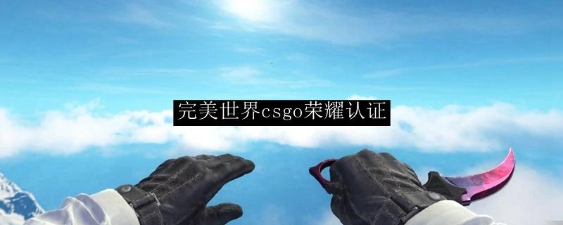 完美世界实名认证步骤图标