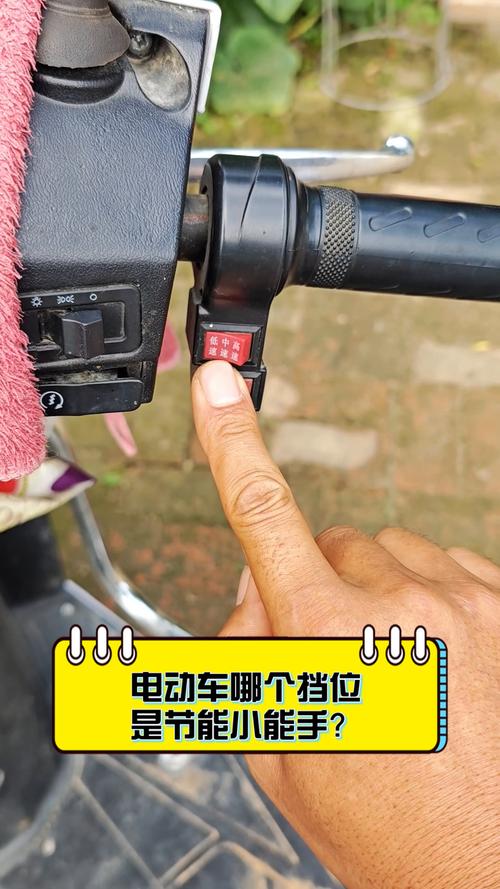 绿源电动车p档在哪里图标