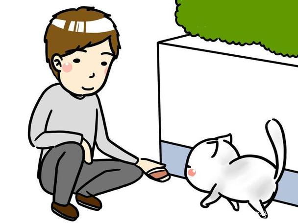 流浪猫动漫