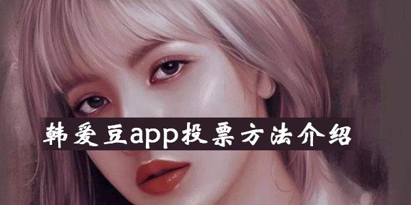 韩爱豆投票规则图标