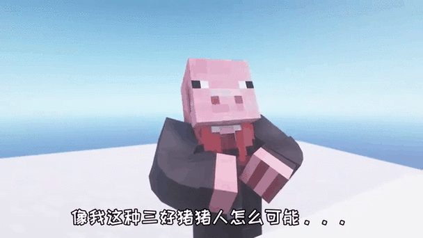 我的世界神小初