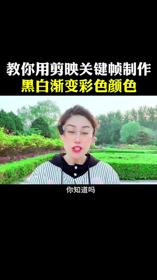剪映彩色变黑白图标