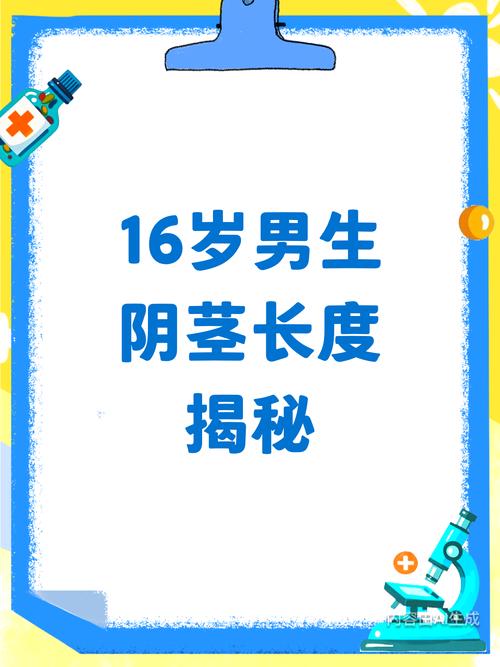 16岁小鸡正常标准图标