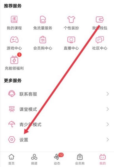 b站没达到mp4缓存要求图标