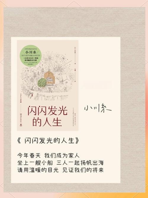 闪闪发光小说目录合集图标