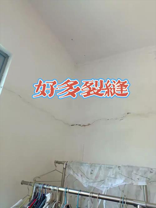 裂缝中的房子赞助码图标
