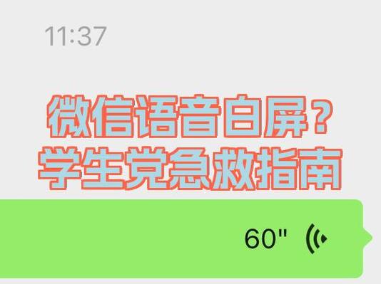 微信发语音闪退是什么原因图标