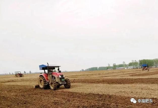 土地平整费5万一亩截图