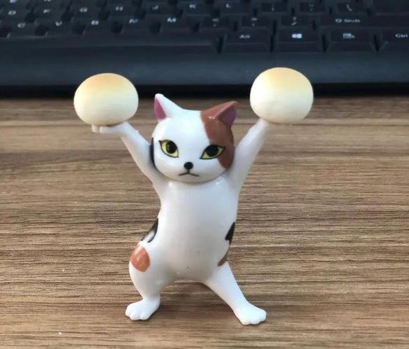 我想看旺仔小猫咪给我买个玩具