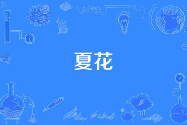《夏花》歌词图标