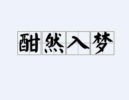 什么然入梦四字词语截图