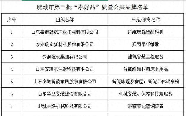 肥城企业前10强图标