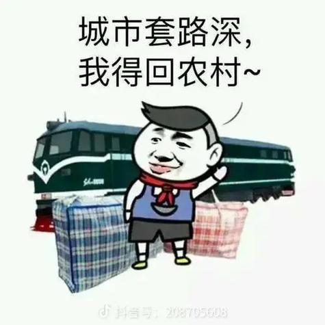 我想回农村的上一句图标