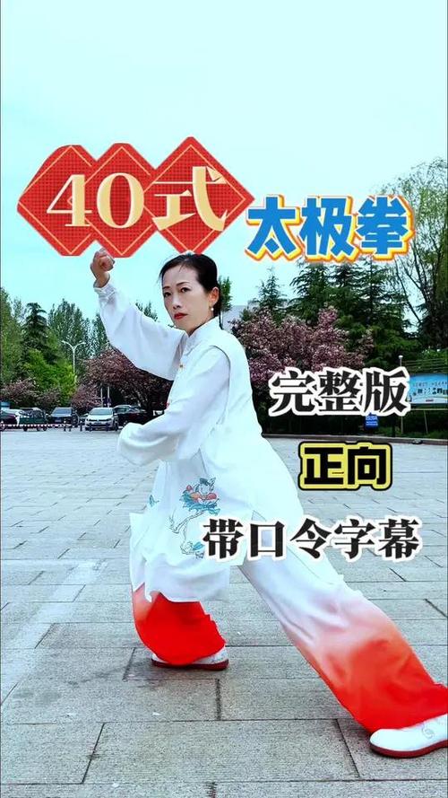 太极40式教学视频 带口令