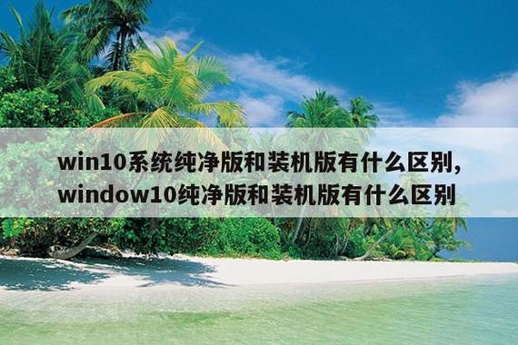 纯净版和装机版哪个好截图