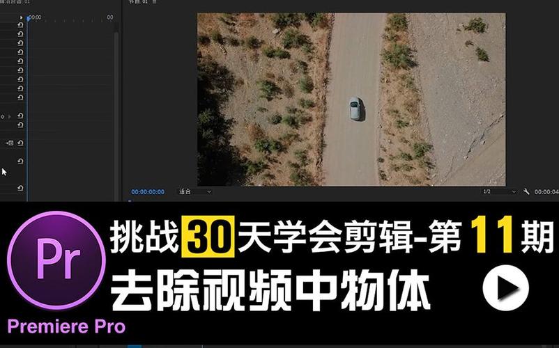 如何去除视频中的物体图标