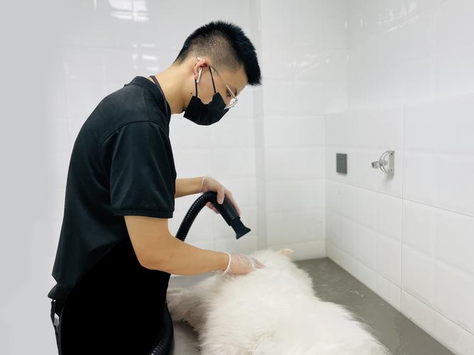 白色鼠标脏了怎么清理图标