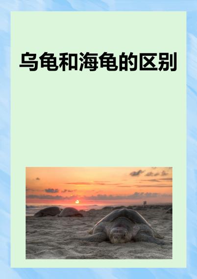 我的世界海龟不下蛋怎么办图标