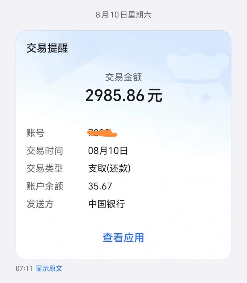 银行卡一笔不明支出截图