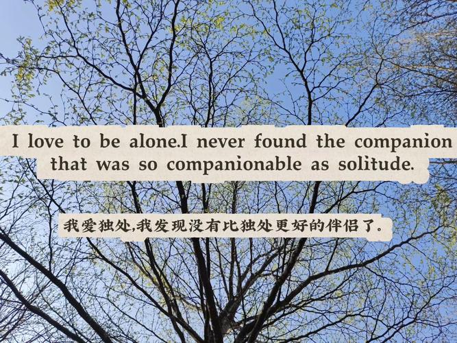 solitude在爱情里代表什么图标