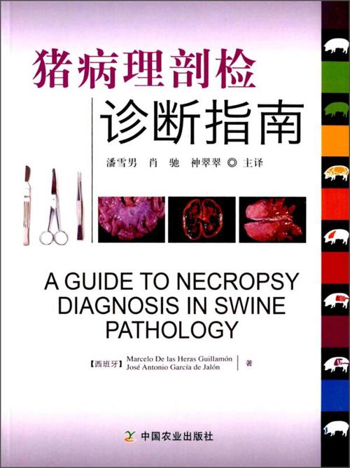 病理结果怎么看良恶性图标
