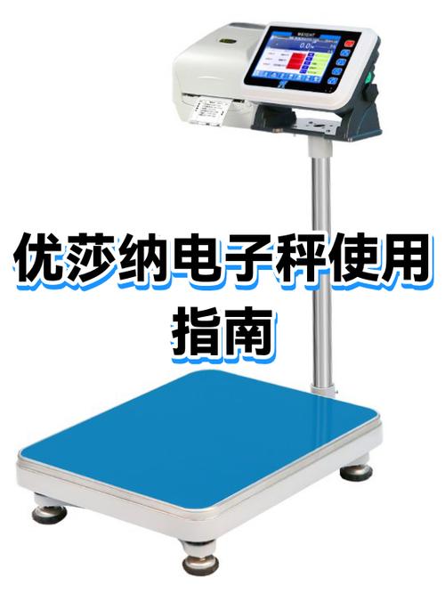 十大名牌电子秤图标