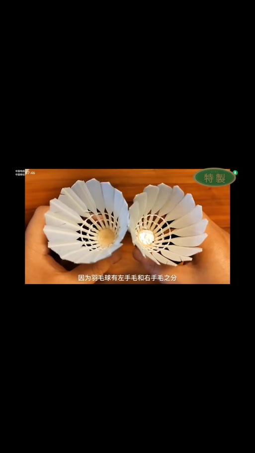 羽毛球左手毛和右手毛的区别图标