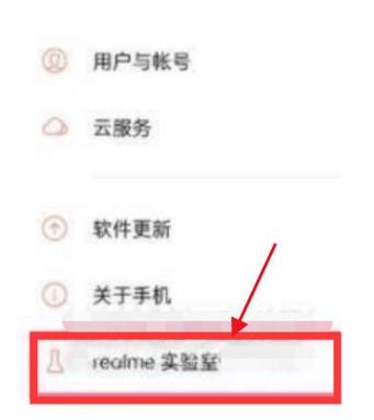 realme云服务登录入口图标
