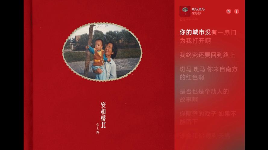 斑马斑马宋冬野下载图标