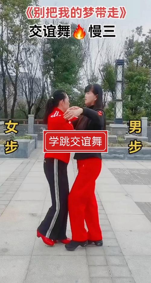 交谊舞慢三花样口令教学截图
