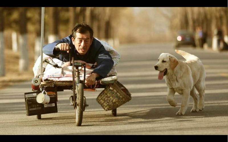 狗狗拉车的电影图标