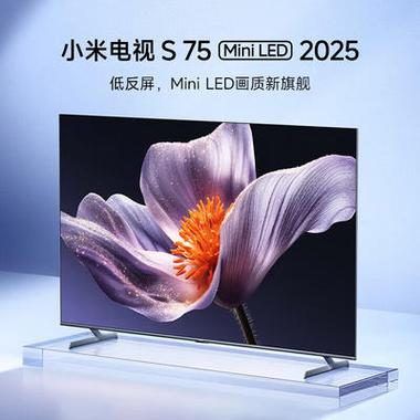 小米电视那款好