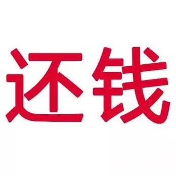 本人贷款还不起要家人还吗图标