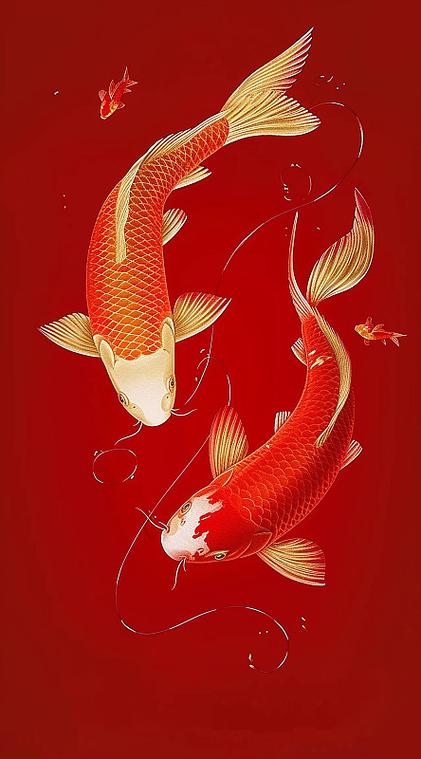红色鲤鱼截图
