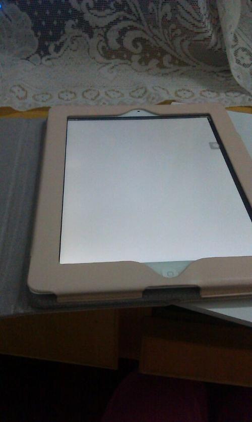 ipad白屏无法关机截图