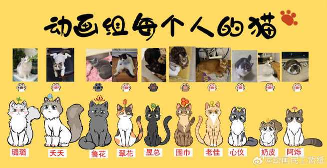 两个猫的动画片叫什么截图