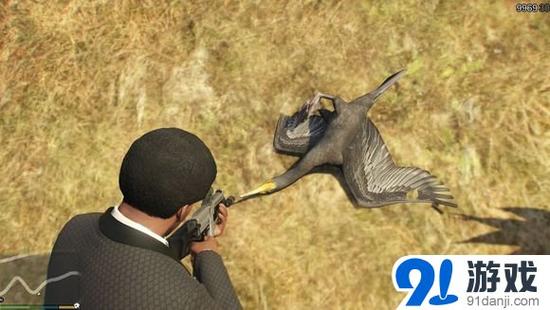 动物在哪 GTA5里