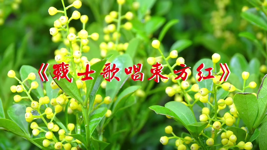 东方红原唱图标