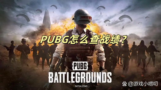 pubg个人实力排名图标