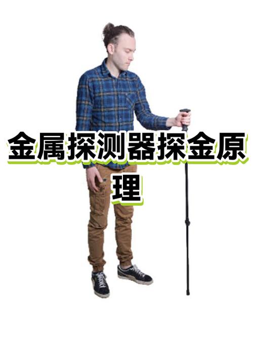 金属探测器价格图标