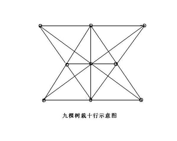 在一个正方形的每条边上种9棵树图标