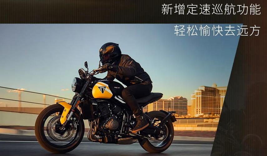 TRIDENT是什么牌子图标