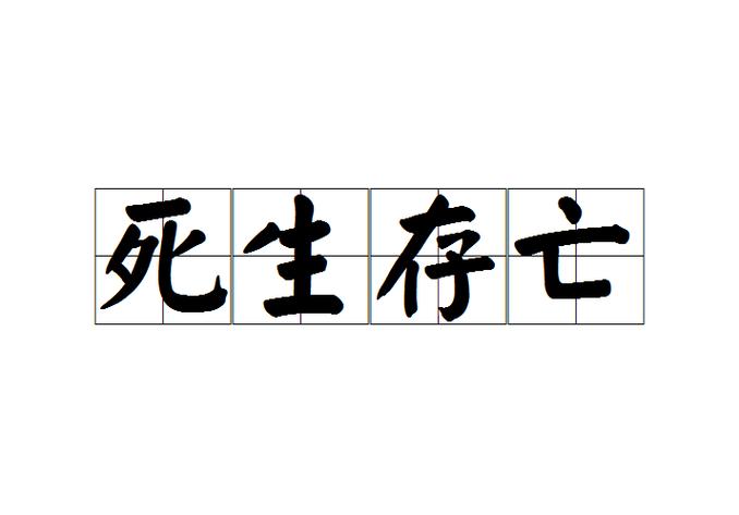 生死存亡中文版图标