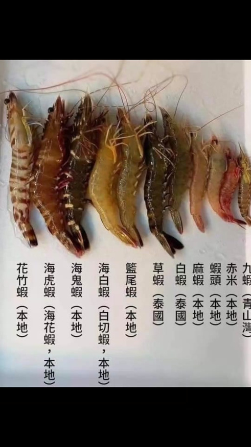 虾的品种及名称及价格图标