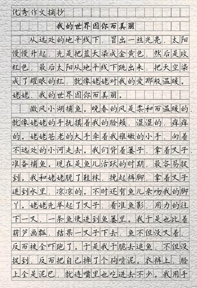 遇见你,我的世界变得更加美好作文