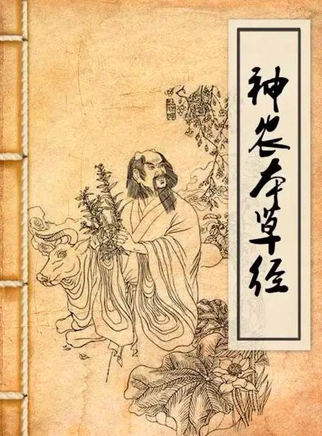 神农的百草医书图标