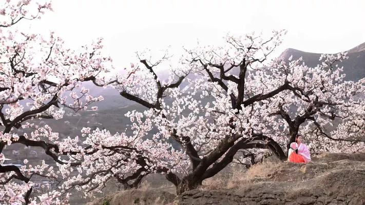 信花平台靠谱吗图标